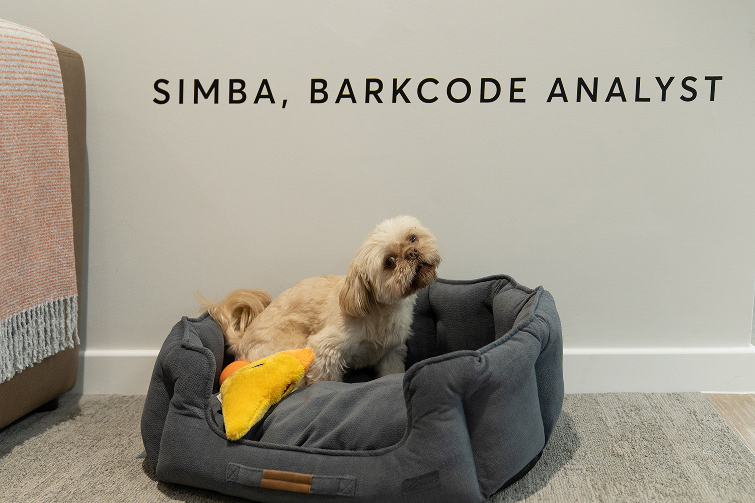 Assosia | Brentwood | SPACIO | Office Design & Build